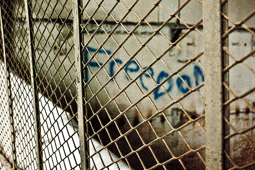 Freedom vs. Autonomy: A tale of two logics – Philosophers for Change